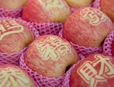 Australia braces for Chinese apples | Article | Fruitnet
