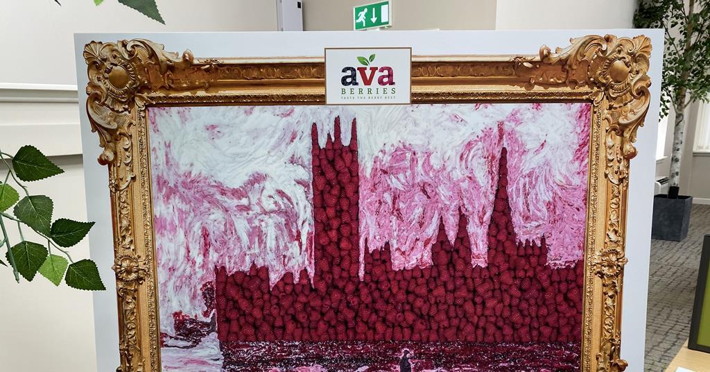 Angus Soft Fruits officially launches new AVA raspberries | News | Fruitnet