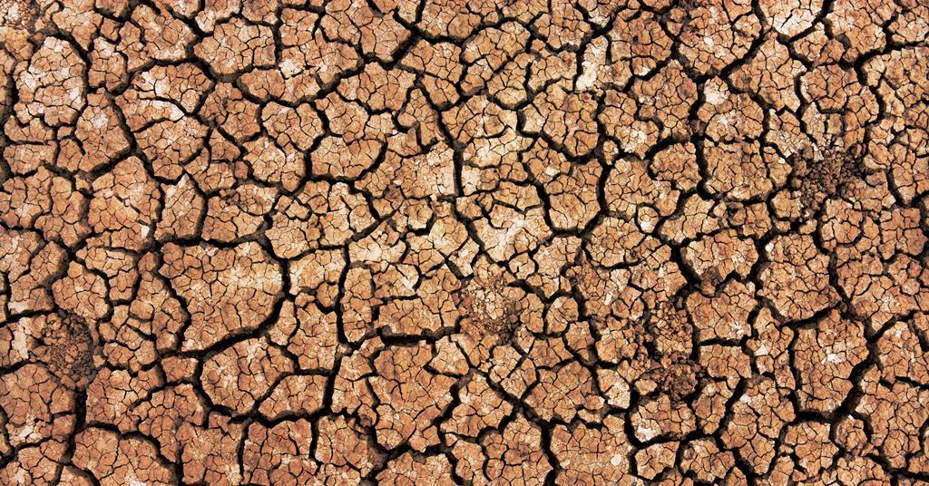 Nasa soil data used for smart farming | Article | Fruitnet