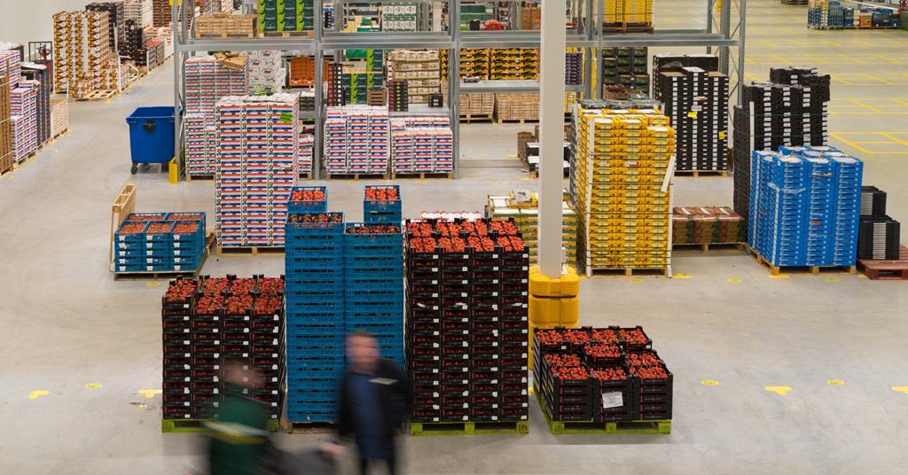 Dutch produce exports hold up in 2021 | Article | Fruitnet