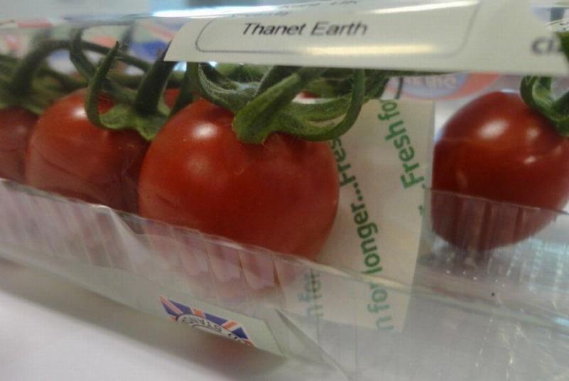 Tesco adopts It's Fresh! for tomatoes | Article | Fruitnet