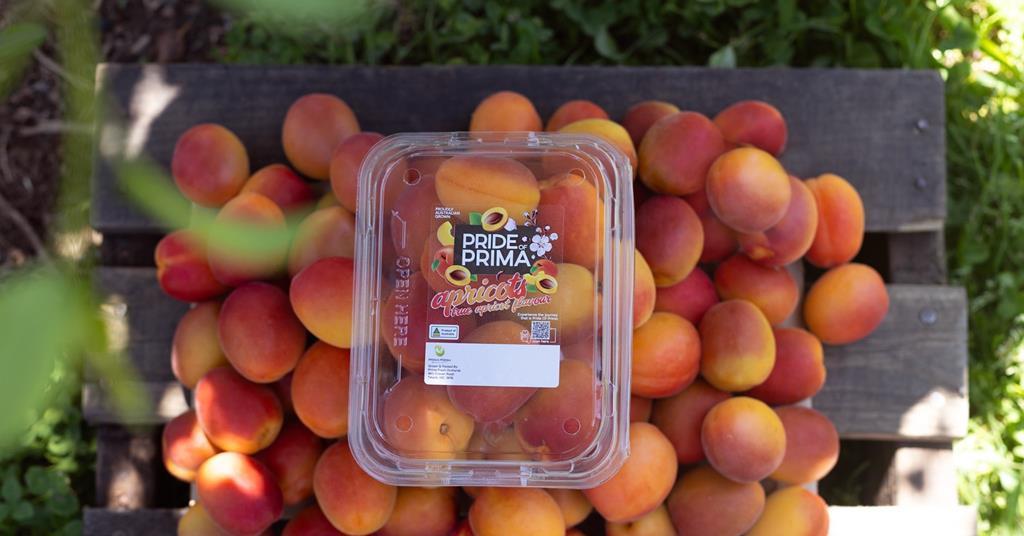 Prima Fresh Fruit launches new apricot brand | News | Fruitnet