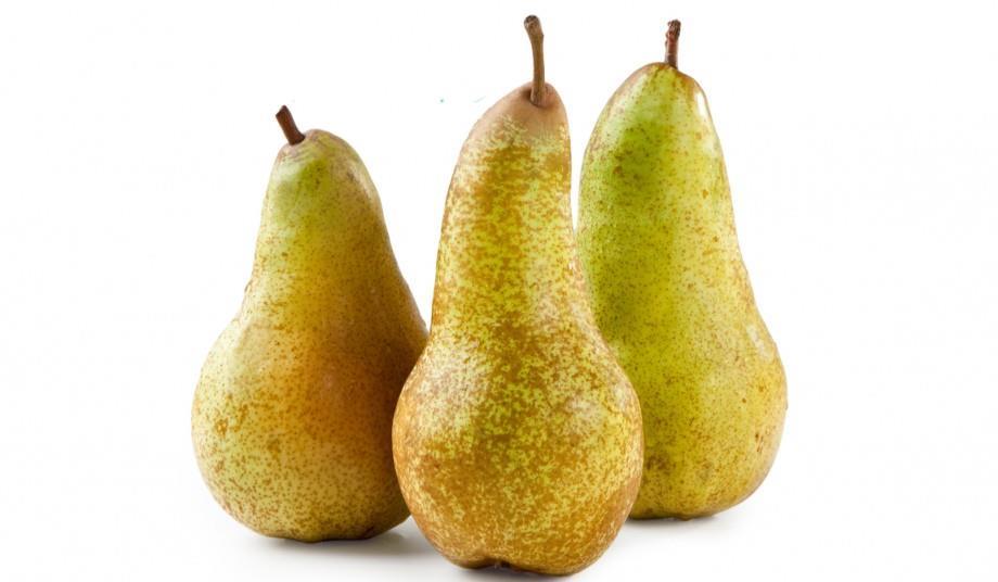 Italy's pear industry seeks new strategy | Article | Fruitnet