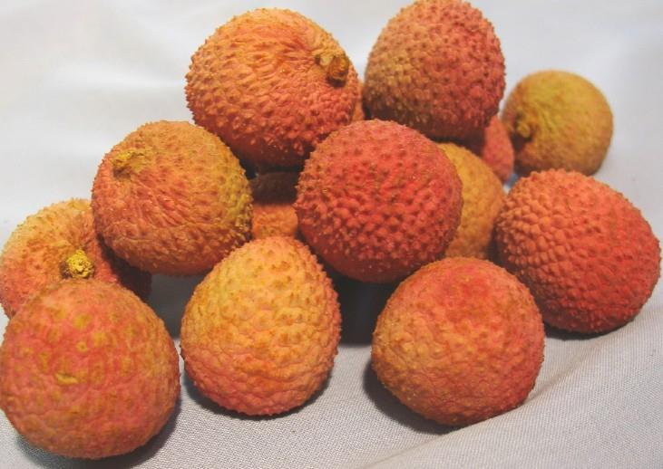 Australian lychees gain NZ access | Article | Fruitnet