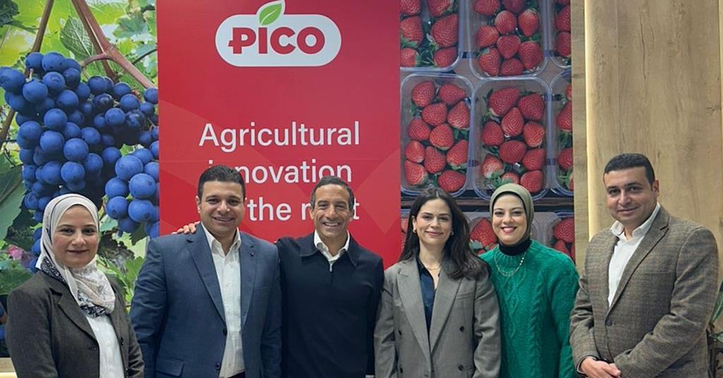 Egypt’s Pico plots premium push in multiple fruits | Features | Fruitnet