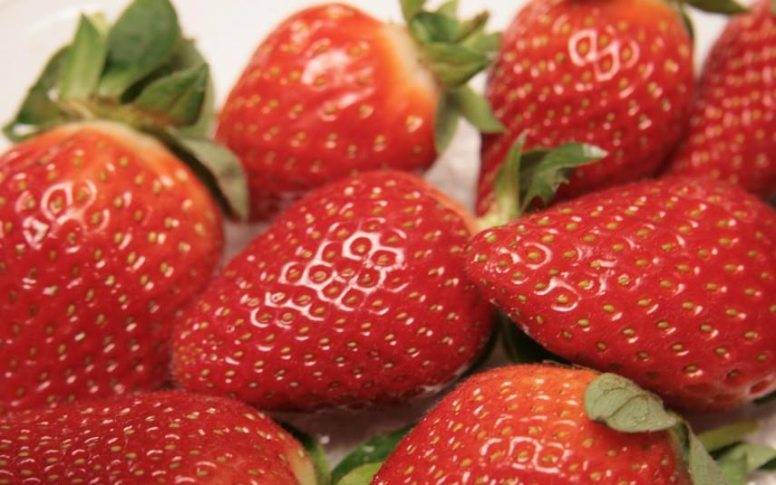 Kent fruit firm wins planning battle | Article | Fruitnet
