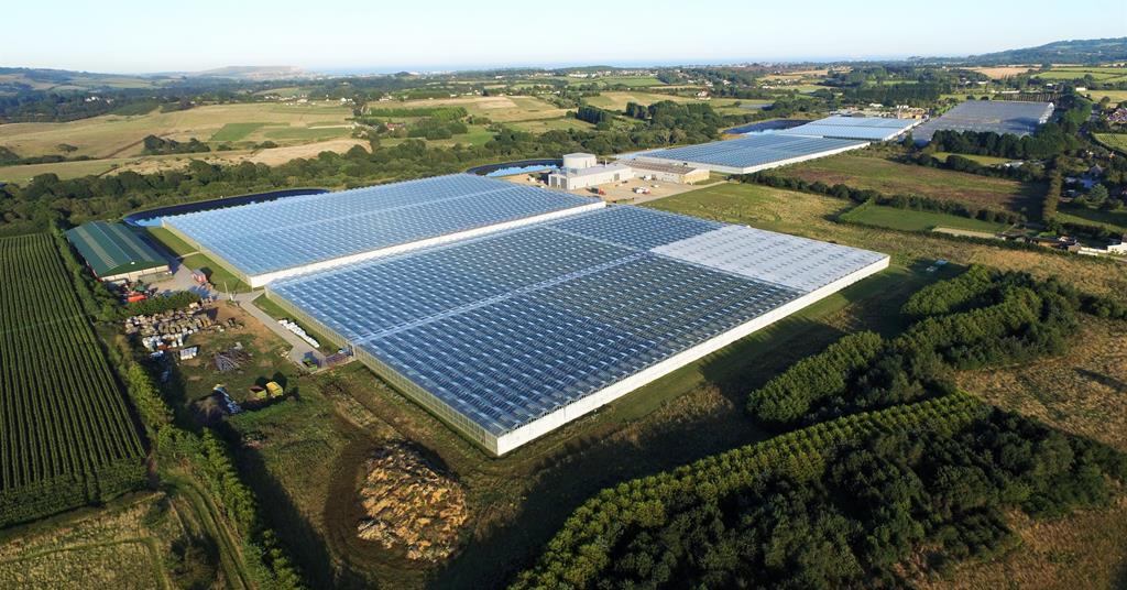 P3P Partners acquires UK tomato specialist APS | News | Fruitnet