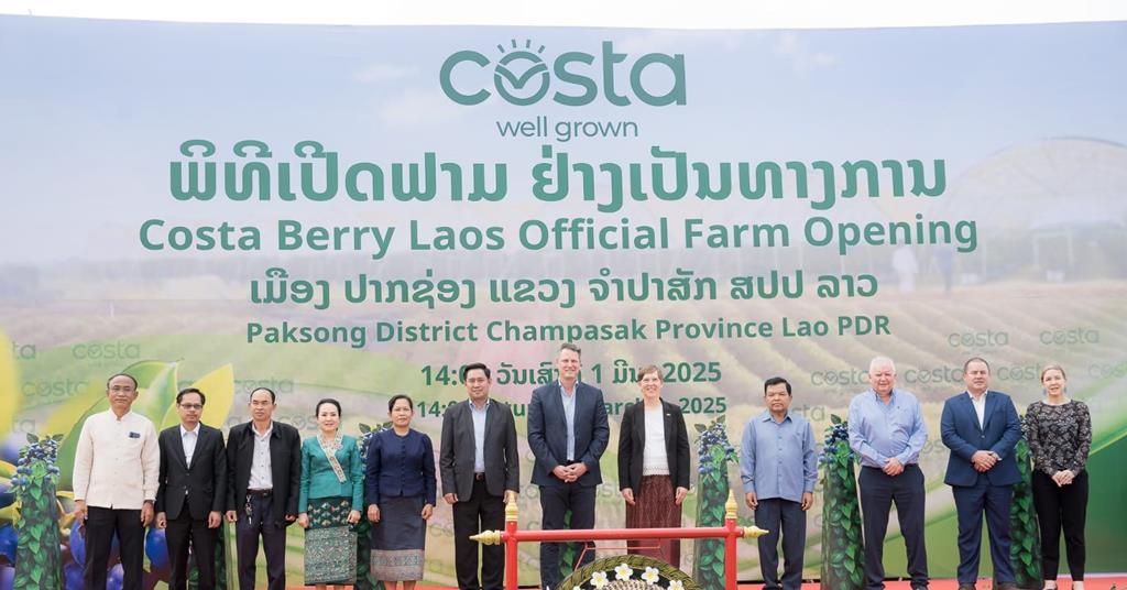 Interview: Costa eyes key supply window with Laos berry project | News ...