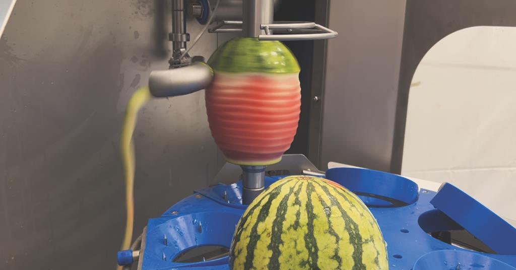 Sormac announces new products and upgrades Article Fruitnet