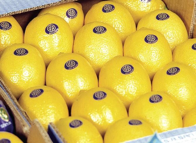 San Miguel joins JD.com’s new fruit alliance | Article | Fruitnet