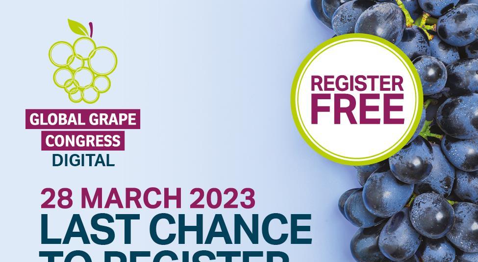 Final chance to register for Global Grape Congress 2023 | News | Fruitnet