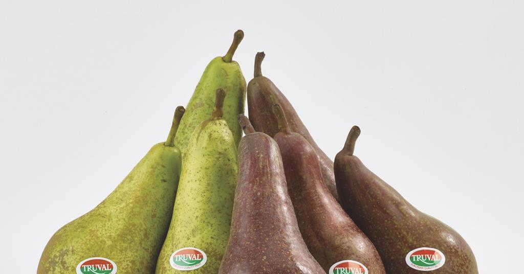 Truval pears gaining in notoriety | News | Fruitnet