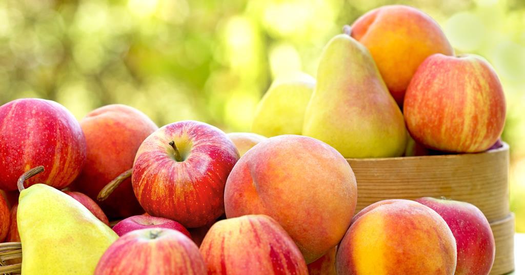 Further cost rises add to strain for UK topfruit growers | News | Fruitnet