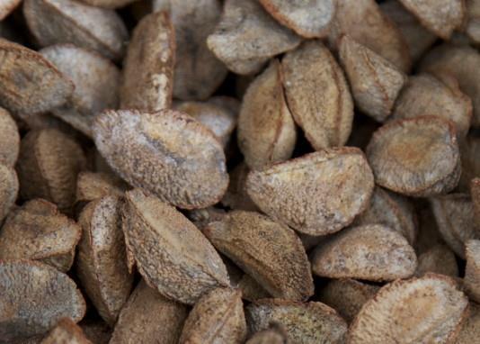 RM Curtis recalls packs after Brazil nut error | Article | Fruitnet