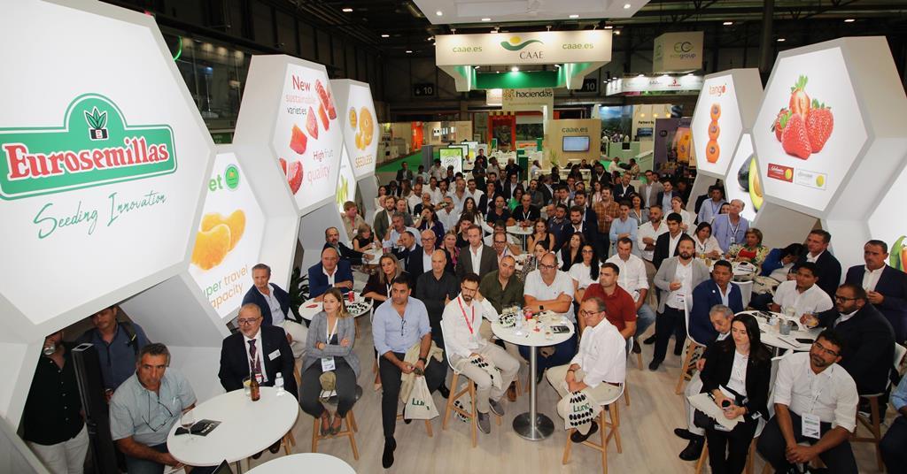Luna avocados step into the limelight | News | Fruitnet