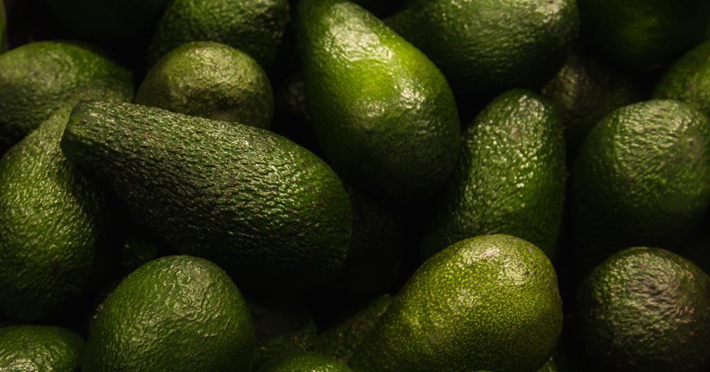 Westfalia announces first commercial shipment of Australian avocados ...
