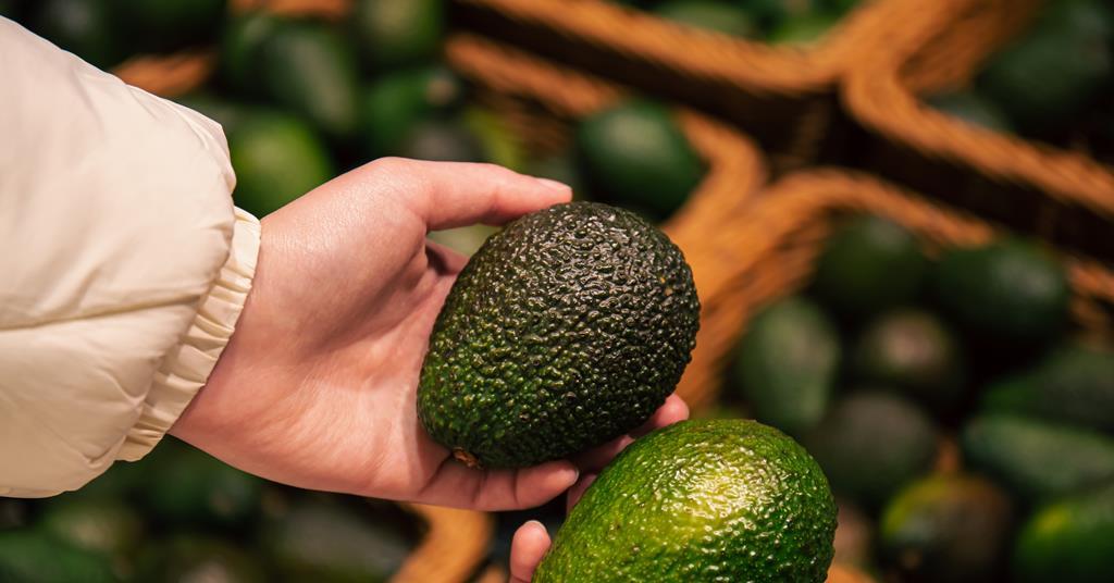 Sustainability takes centre stage at Global Avocado Summit | News ...