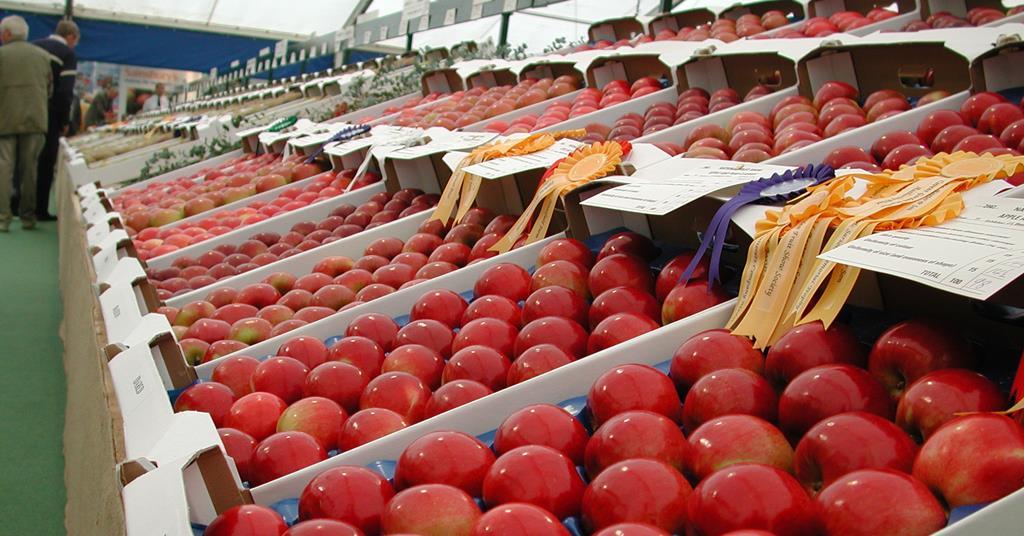 Fruit Show announces 80th birthday celebration | Article | Fruitnet