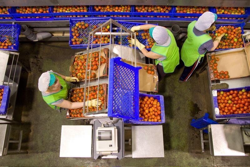 Unica Group keeps on growing | Article | Fruitnet