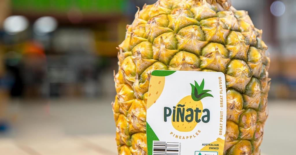 Piñata pineapples spring back from shortage | News | Fruitnet
