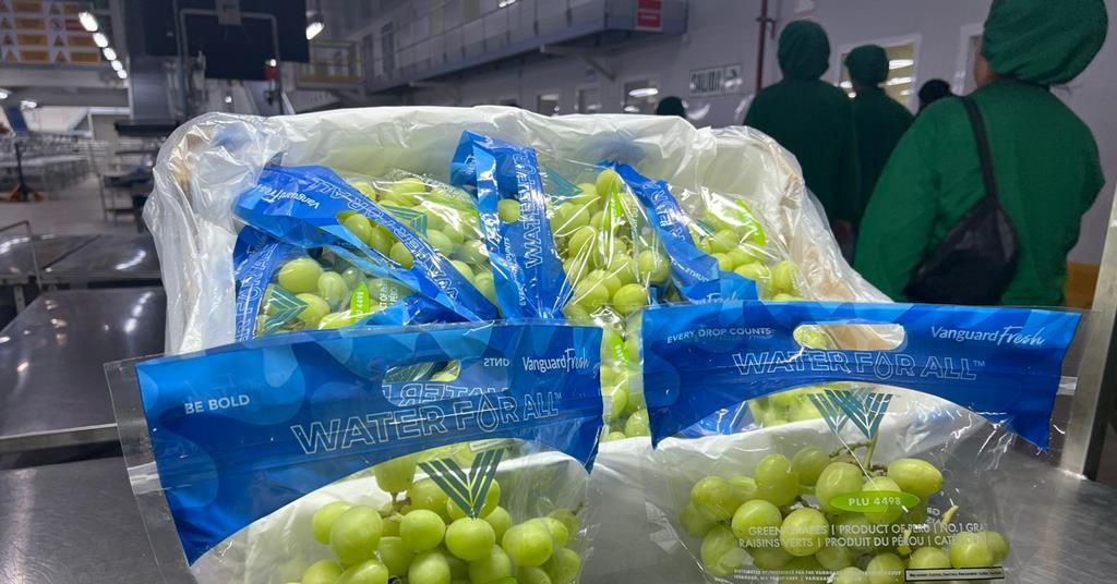 Vanguard puts water conservation label on Latin American grapes | News | Fruitnet