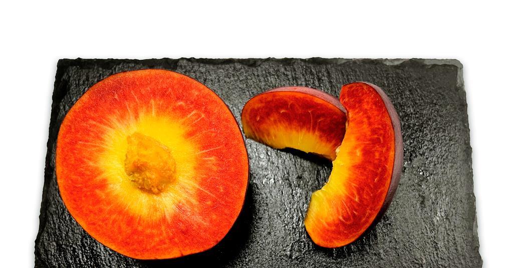 Royal debuts first sanguine blood nectarines on the market | Article ...