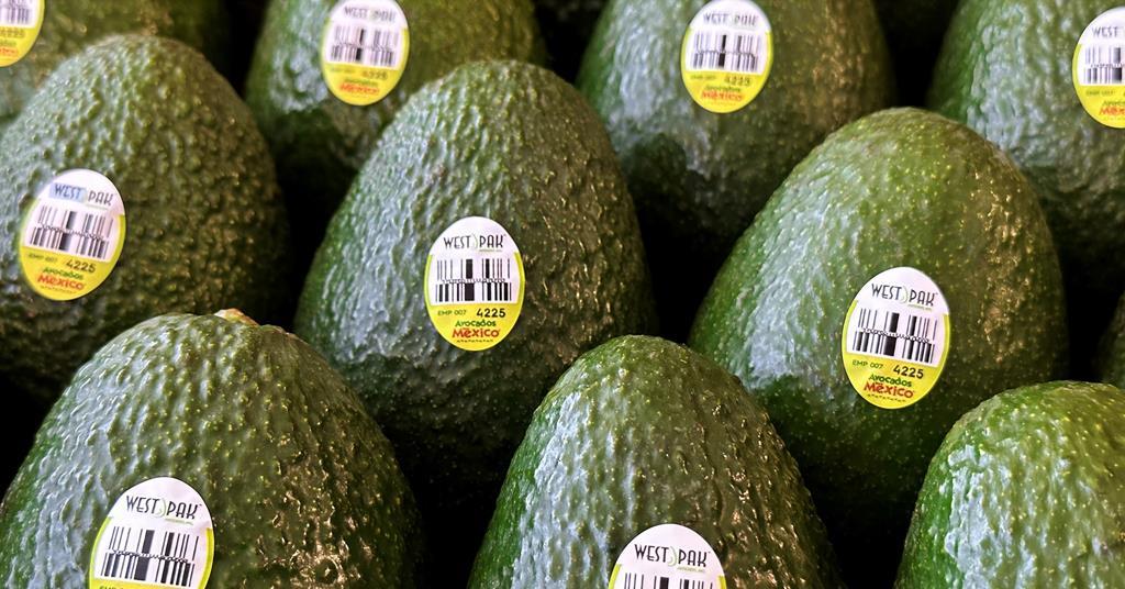 West Pak looks 40 Years Forward | News | Fruitnet