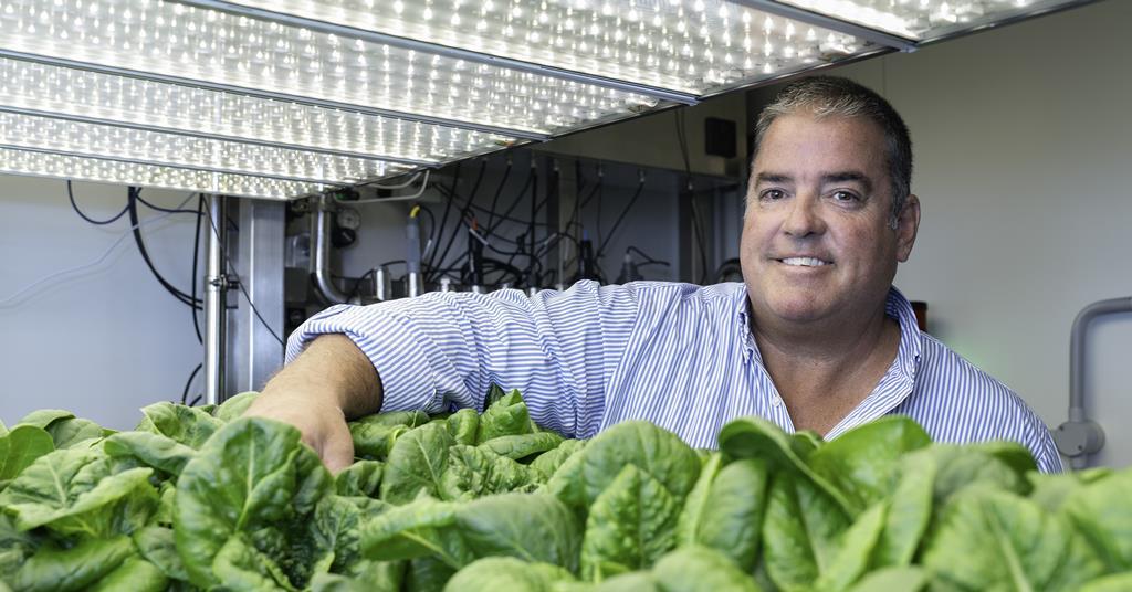 Stacked Farm secures new investment | News | Fruitnet