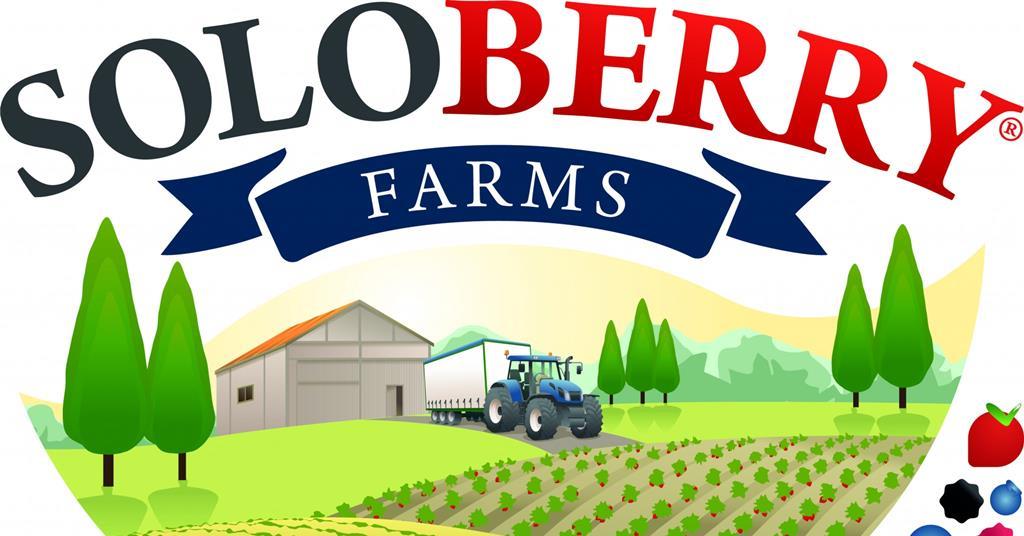 Soloberry launches berry brands in Europe | Article | Fruitnet