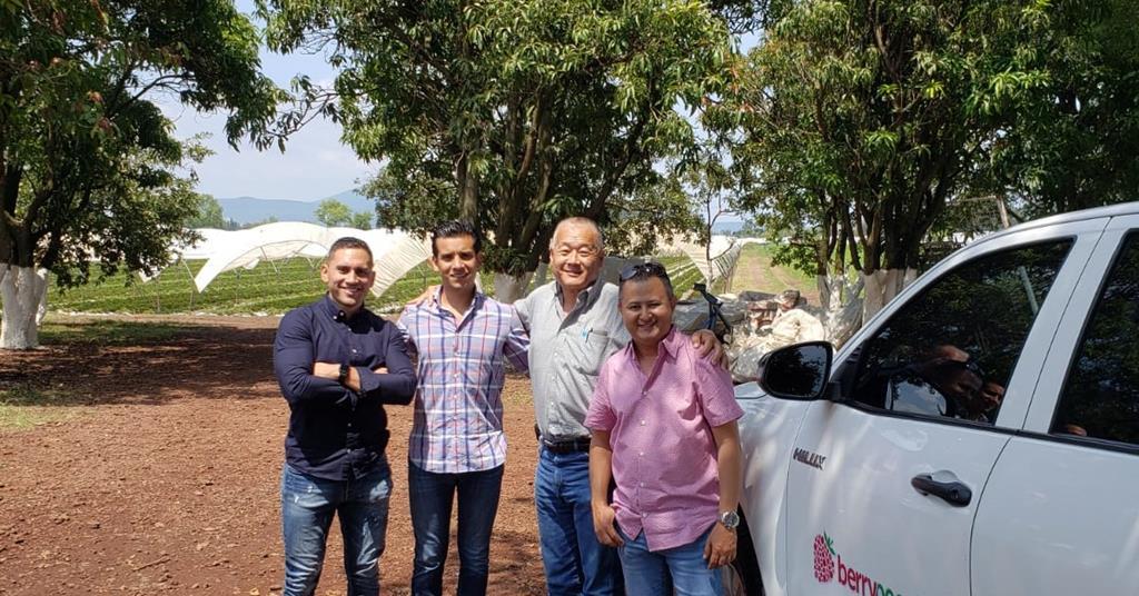 Berry People announces new sourcing deals | Article | Fruitnet