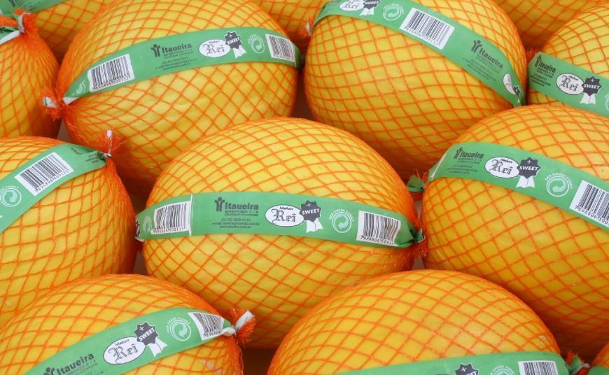 Sampling for Brazilian Rei melons | Article | Fruitnet