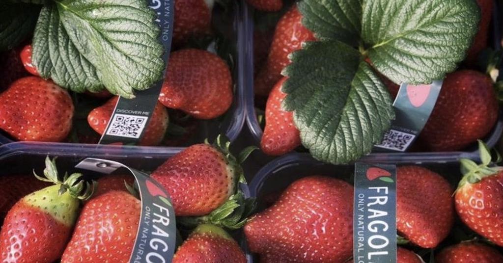 Albania: a rising player in south-east Europe’s fresh produce market ...