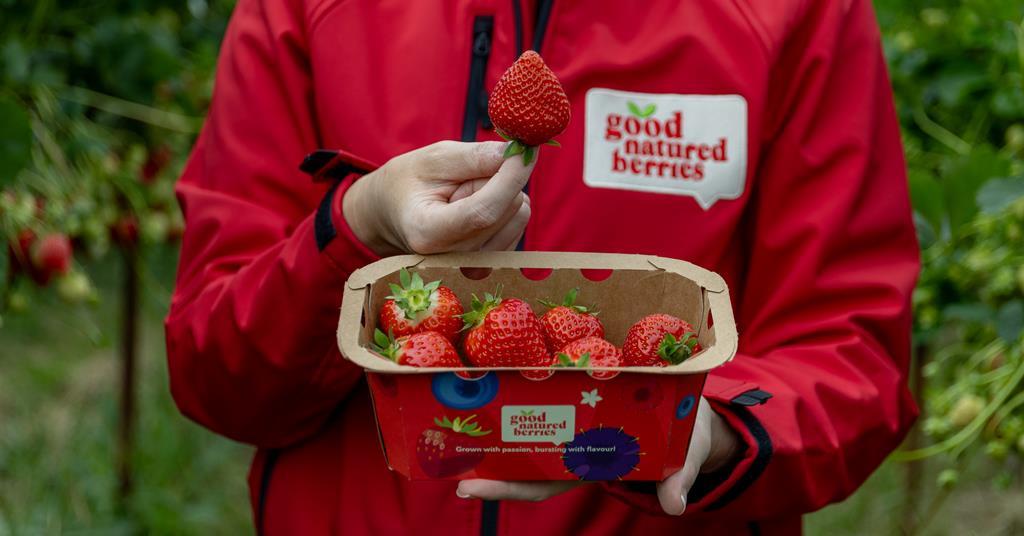 ‘Berries should be fun’: Angus Soft Fruits launches brand refresh ...