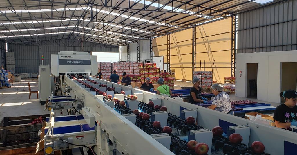 Reemoons Ai Defect Sorting Applied In Chile Advertorial Fruitnet
