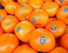 Australian mandarin season wraps up | Article | Fruitnet