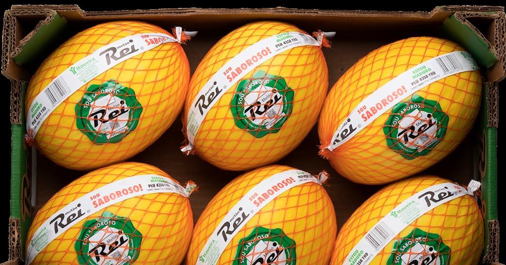 Brazilian melon supplier Itaueira invests €12.5mn in production, plans ...