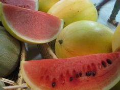 Famosa melons gather momentum | Article | Fruitnet