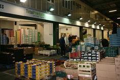 Total Produce reports pre-tax profits | Article | Fruitnet