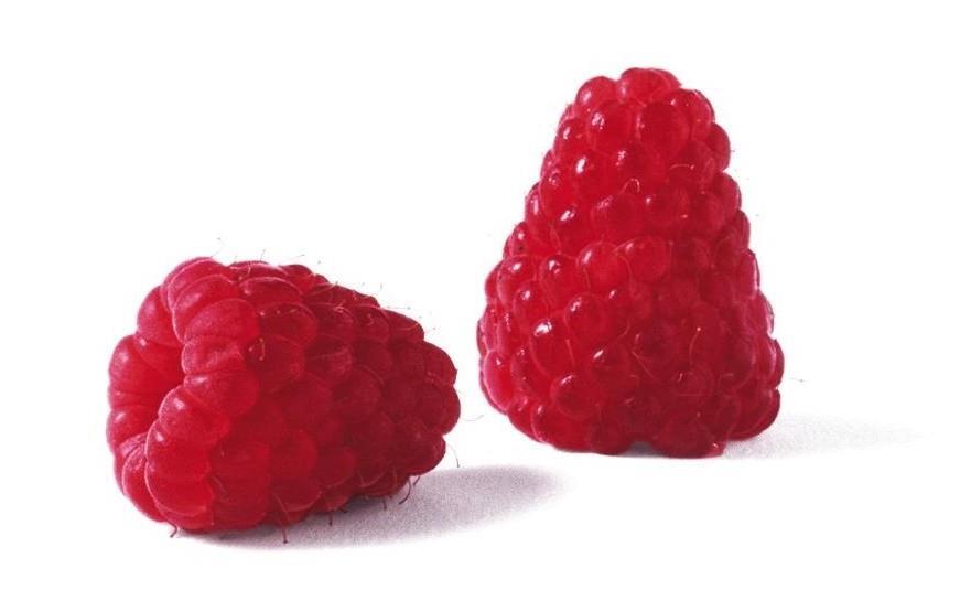 SunnyRidge receives first Mexican raspberries | Article | Fruitnet