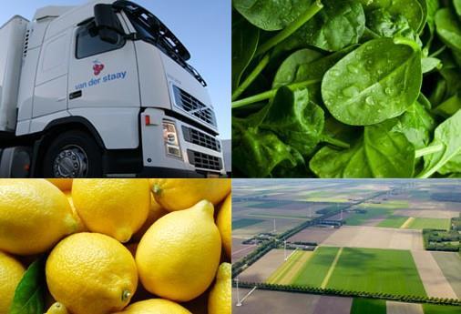 Staay Food acquires Hispa Fruit stake | Article | Fruitnet