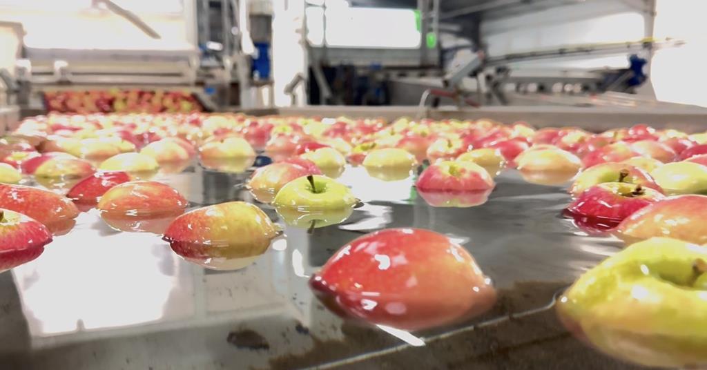 MAF Industries redefines process water | Comment | Fruitnet