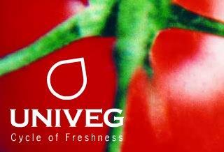 Univeg appoints new board member | Article | Fruitnet