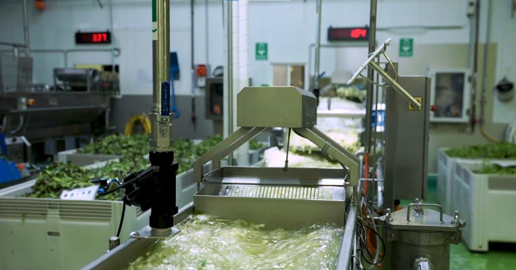 One Harvest deploys SmartWash system | Article | Fruitnet