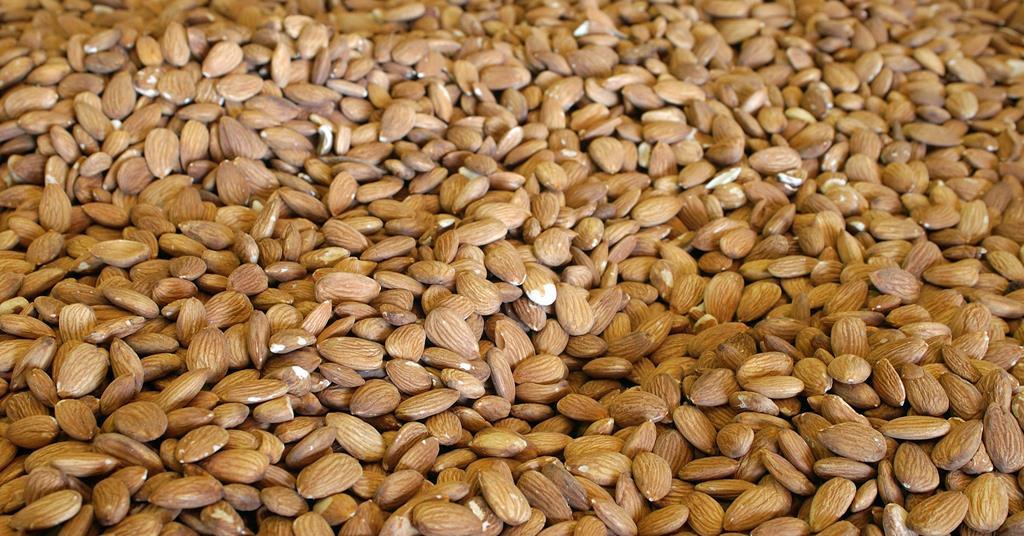 Australian nut industry targets export expansion | Article | Fruitnet