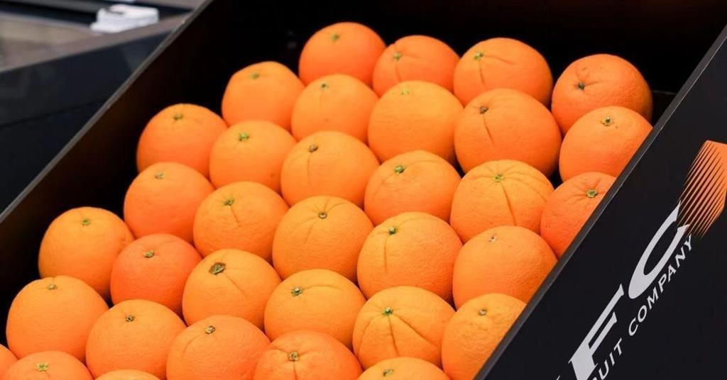 Bright Food secures Australian citrus imports with MFC | News | Fruitnet