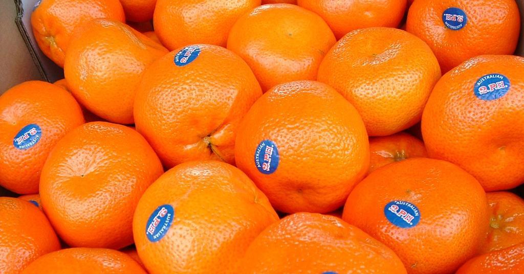 Australia-UK FTA: what’s in it for horticulture? | News | Fruitnet