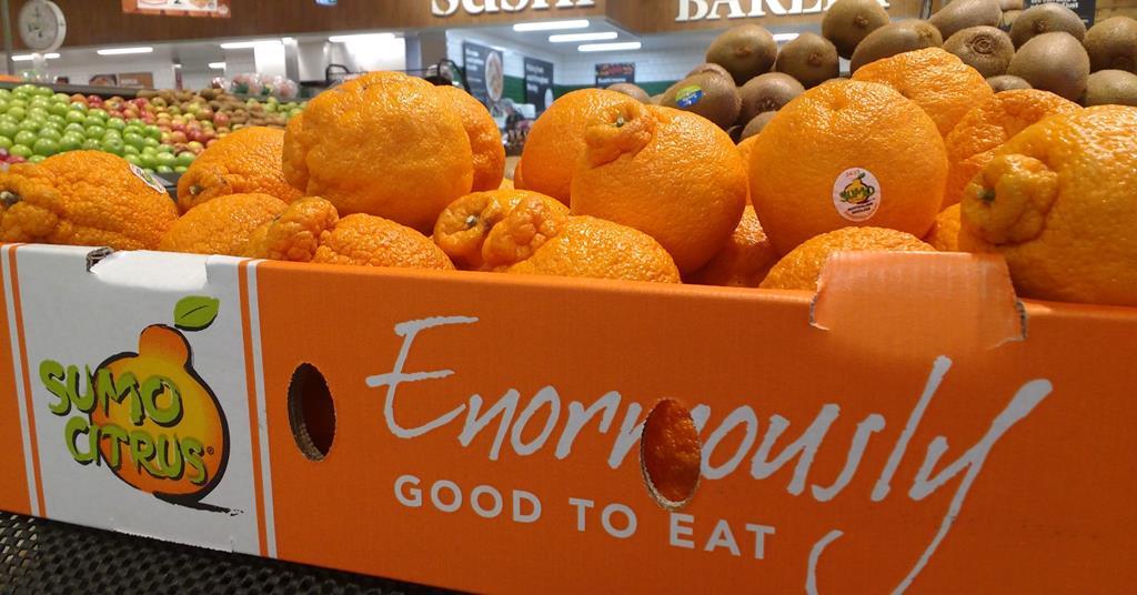 Freshmax targets IP through Innovar | Article | Fruitnet