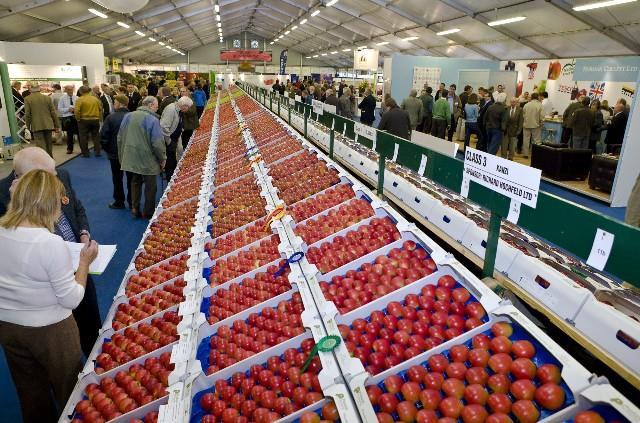 Fruit show confident of success | Article | Fruitnet