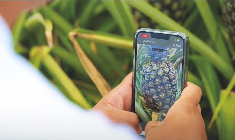 Clarifruit’s QC revolution | News | Fruitnet