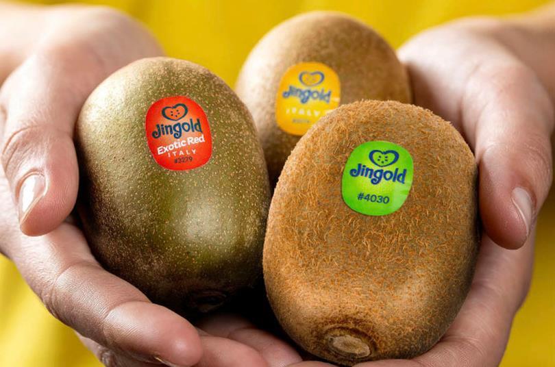 Jingold Achieves 96% Recycled Packaging in First Sustainability Report ...